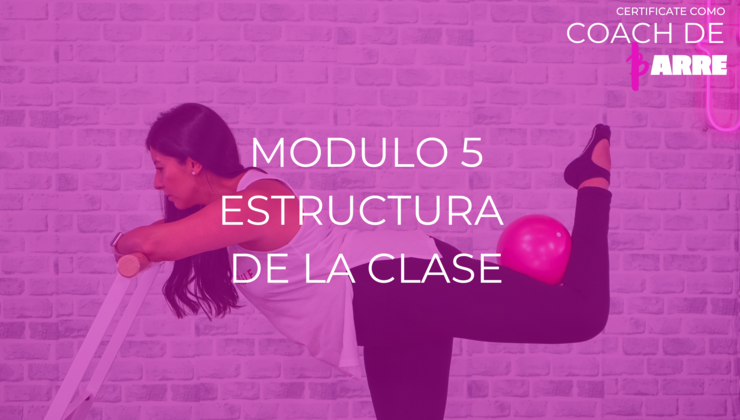 Módulo 5: Estructura de la clase