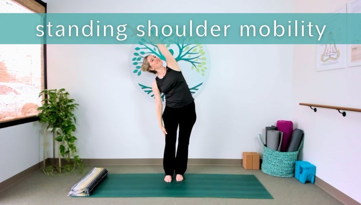 Standing Shoulder Mobility