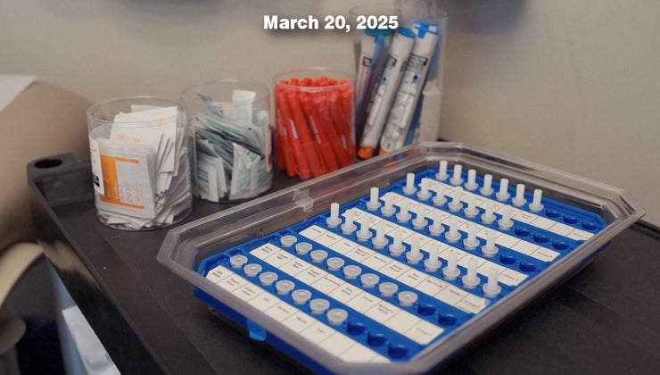 Signature Science: Seasonal Allergies | WORLD Watch