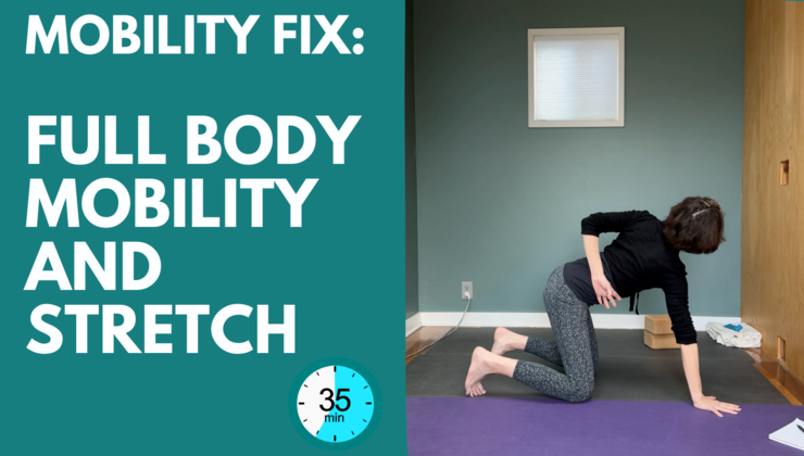 Full Body Mobility & Stretch | The Elevate Practice