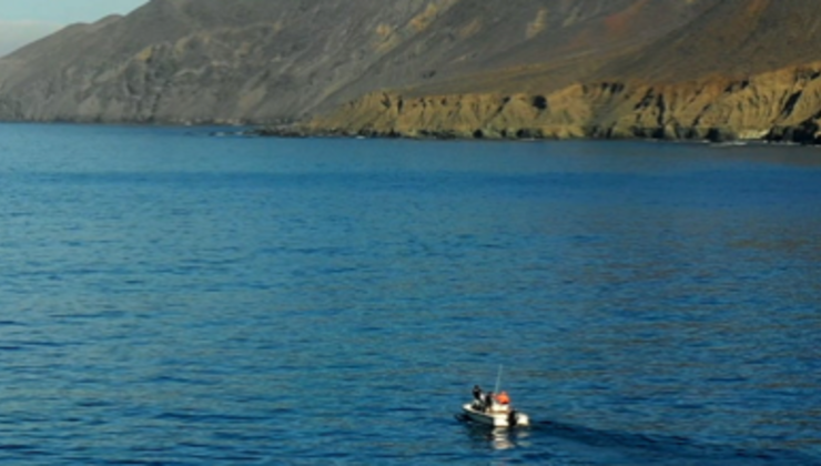 Blue Water Fly Fishing | Online Fly Fishing Course | Fish Camp