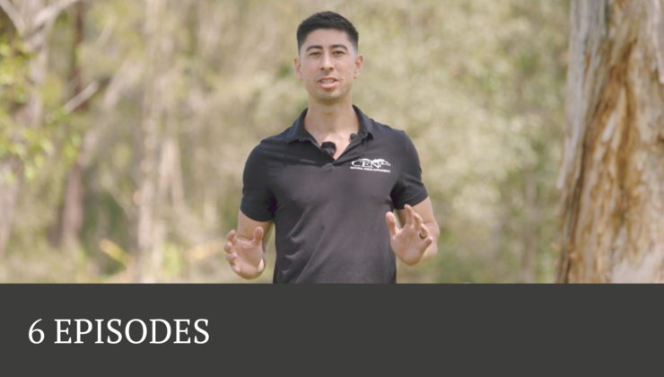 EQUINE BLOOD TESTING MASTERCLASS WITH BRYAN – CO-FOUNDER OF CEN HORSE