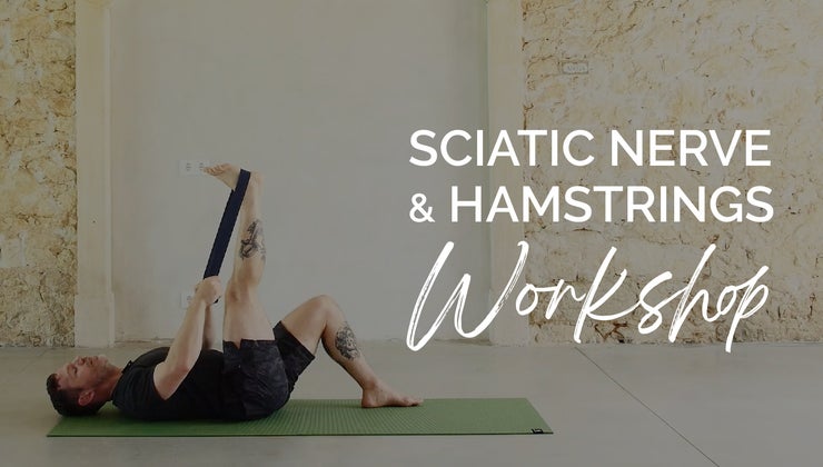 Sciatic Nerve & Hamstrings Workshop