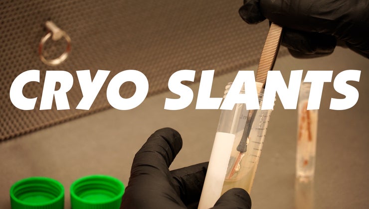 Cryoslantsfinal | MycoWizards