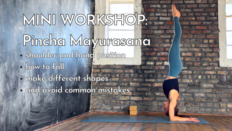 Mini Workshop - Pincha Aka Forearm Stand