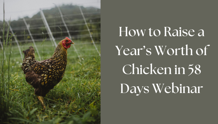 How to raise a year's worth of chickens in 58 days