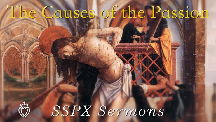 The Causes of the Passion - SSPX Sermons