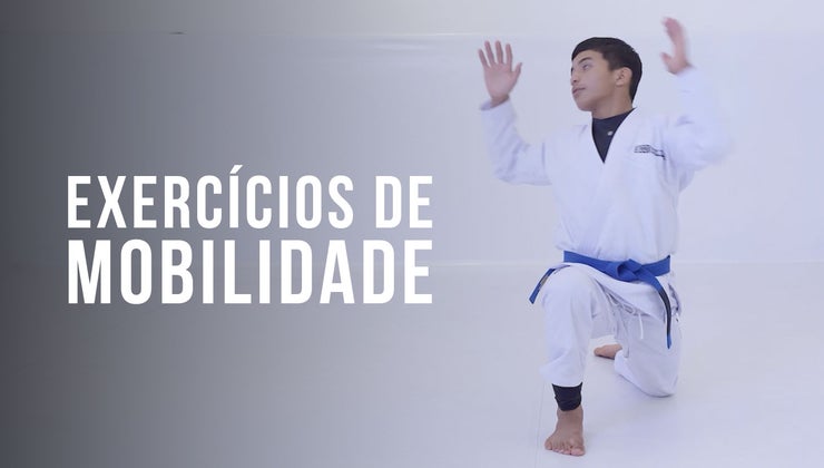 EXERCÍCIOS DE MOBILIDADE