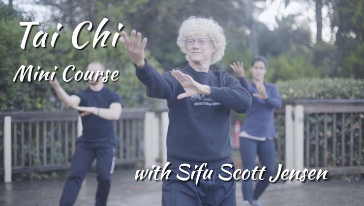 10,000 Victories Tai Chi Mini Course