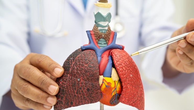 Tehnici de diagnostic și tratament endoscopic bronho-pulmonar
