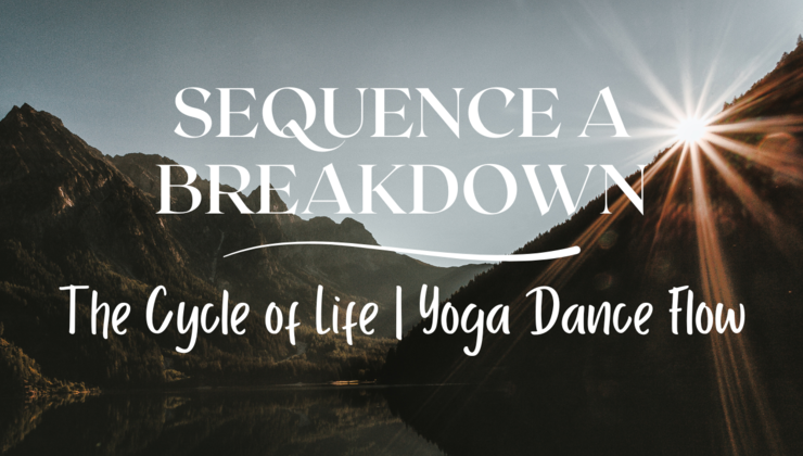 Sequence A Breakdown | The Cycle of Life