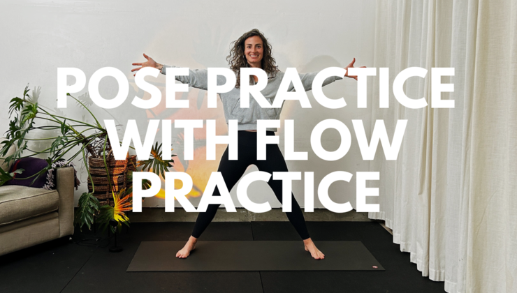 Pose Practice combined with Flow Practice