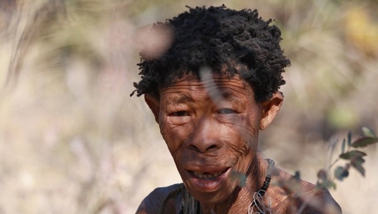 Chapter 8 Khoikhoi herder society in the later stone age | Raising ...