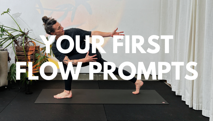Your First Flow Prompts