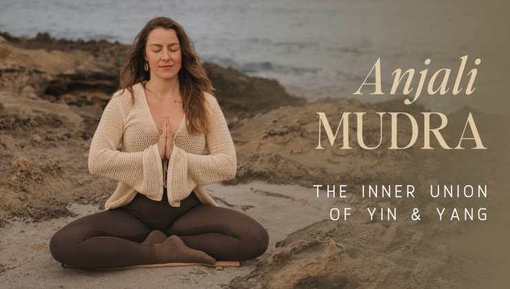 Anjali Mudra 🙏🏼 The inner union of Yin & Yang⎪Guided Embodied Meditation