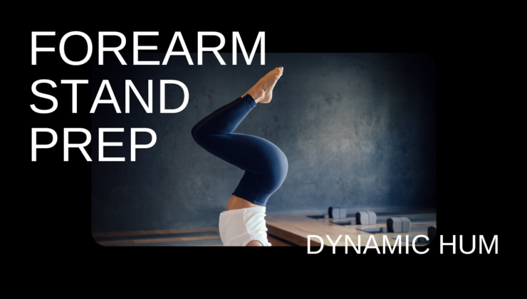 Prep for Forearm Stand Dynamic with Mel T