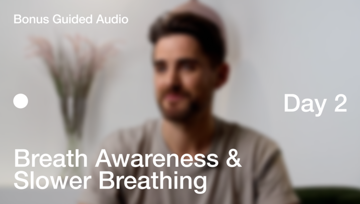 Day 2B | Breath Awareness & Slower Breathing | A Gentle Breathwork Reset
