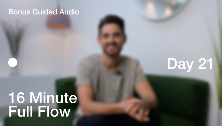 Day 21B | 16-Minute Full Flow | Integrative Breathwork to Reset and ...
