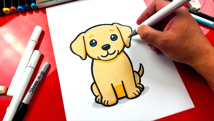 How To Draw A Labrador Puppy