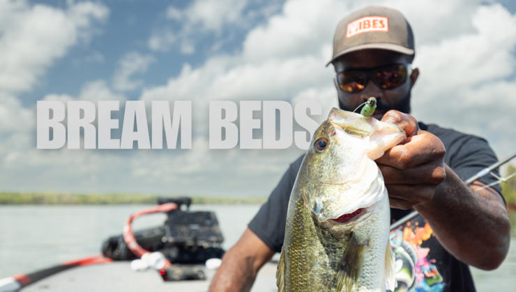 How to Catch Bass on Bream Beds