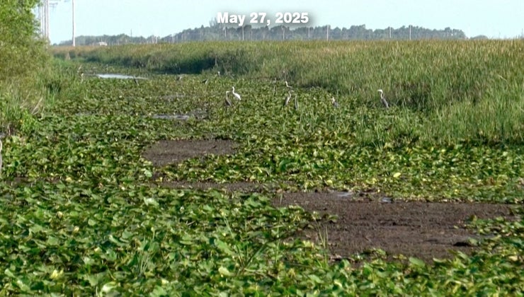 Tuesday, May 27: Drought In the Everglades | WORLD Watch