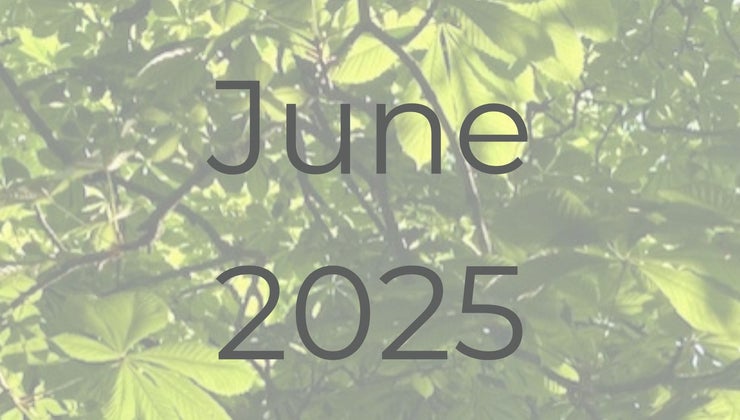 June Movement Calendar 2025