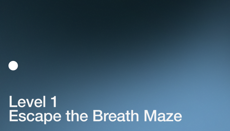 Escape the breath maze - Level 1