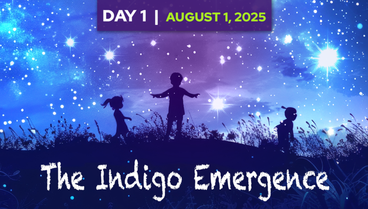 Indigo Emergence Day 1