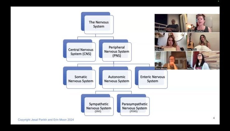Video_2a_300hr Anatomy Tt_2025_the Nervous System_werinmoon