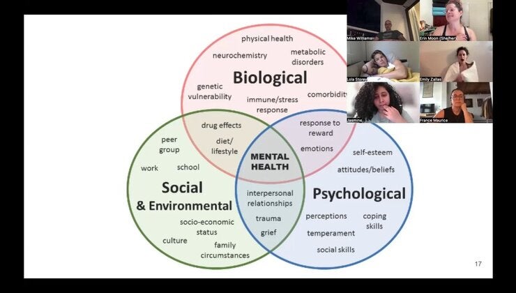Video_2b_300hr Anatomy Tt_2025_the Nervous System_werinmoon