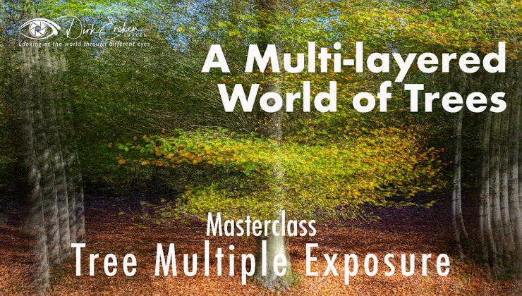 in-camera tree multiple exposure nature photography