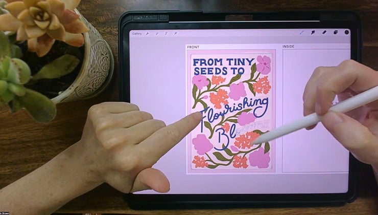 Seed Packets Live Drawing Session