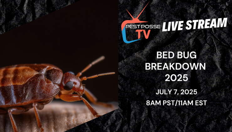 Bed Bug Breakdown 2025