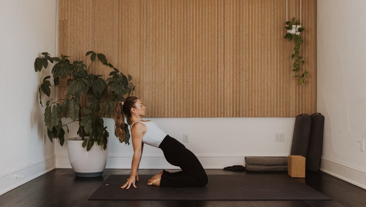 August 05 | 30-min. Honey Flow w/Backbend Focus (+ a side of twists ...