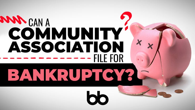 Brainyboardbankruptcy4k