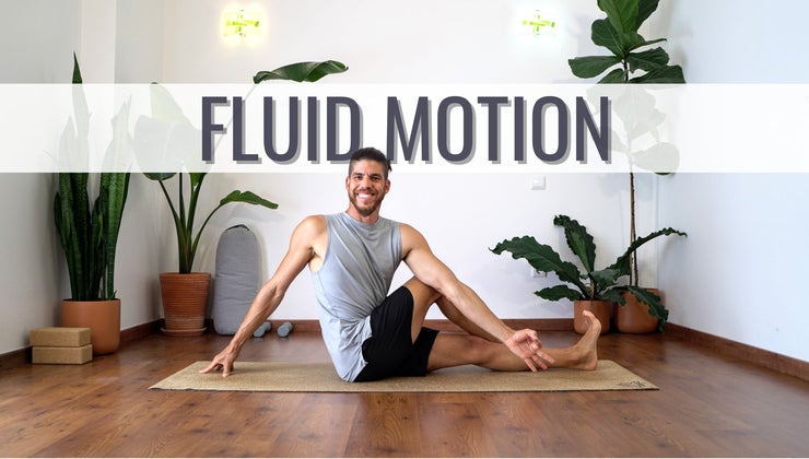 Fluid Motion • 28min Mobility Flow
