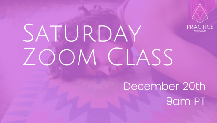 Saturday, December 20th, 9am PT - ZOOM