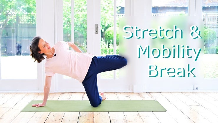 25 Min Stretch & Mobility Break #295