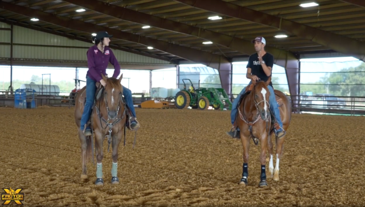 Abby Fields Performance Horses Featuring Andre Renata Coelho