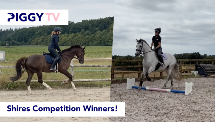 Shires Competition Winners! | Piggy TV