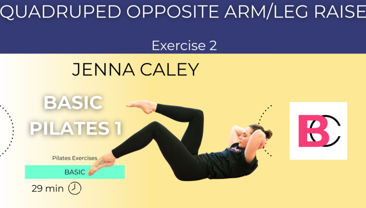 Jenna Caley- Quadruped Opposite Arm/Leg Raise (WK006-2)