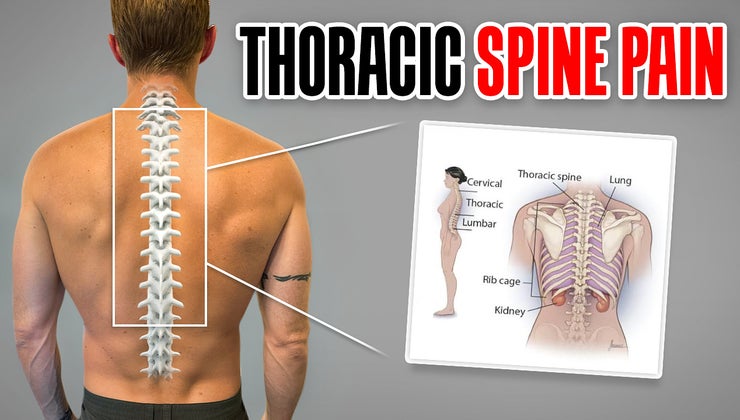 Thoracic Spine and Rib Pain (Mid-Back Pain)