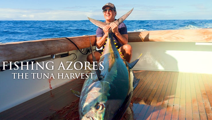 Fishing Azores: The Tuna Harvest