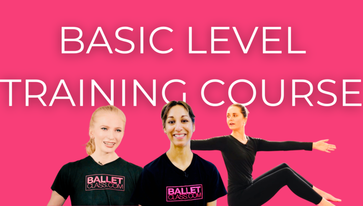 Basic Level Training Course