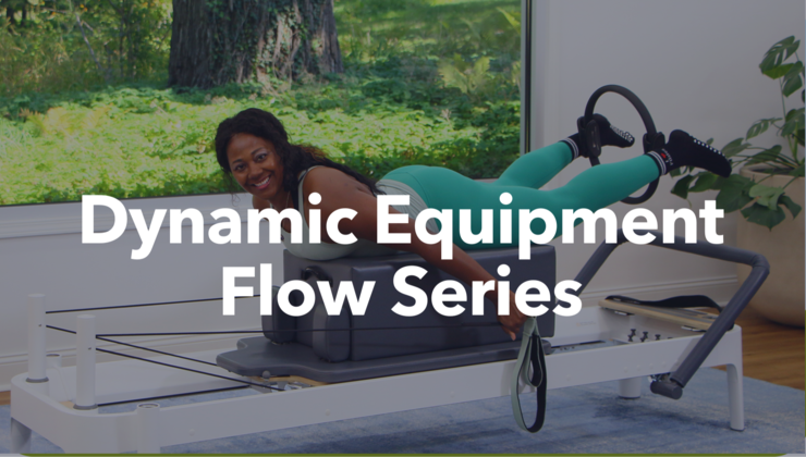 Dynamic Equipment Flow Series (video collection)