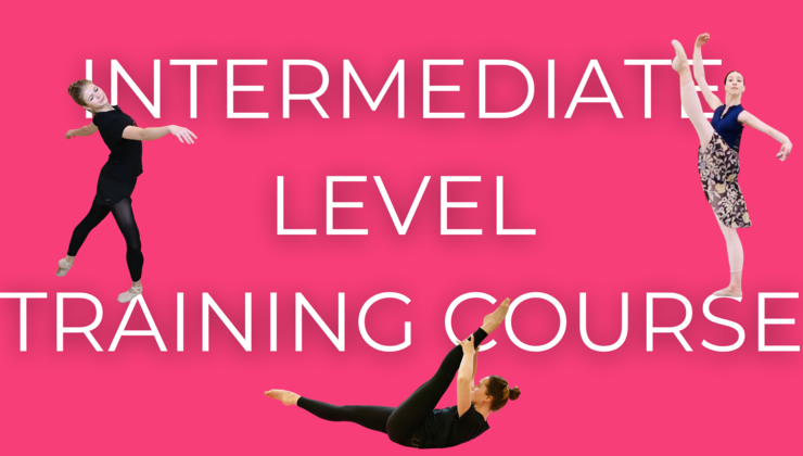 Intermediate Level Training Course