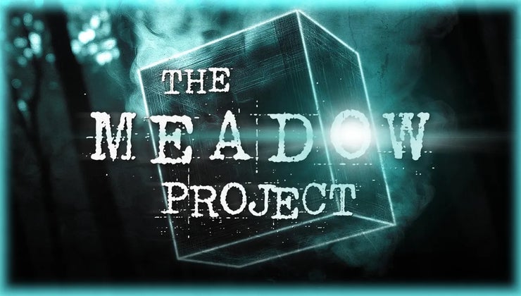 The Meadow Project + Night Investigations