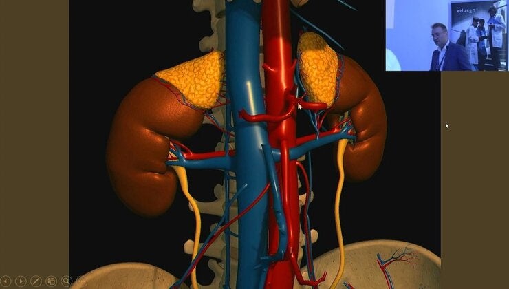 Repere Anatomice Abdominale. Ce Trebuie Sa Cunoastem Cand Realizam O ...