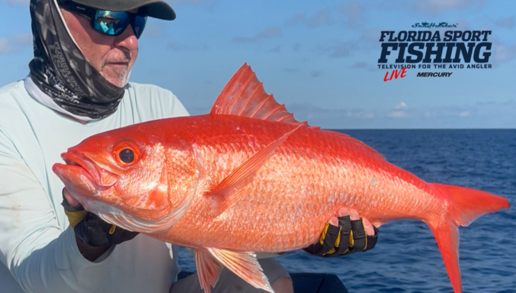 Trophy Queen Snapper Fishing 30 mi. off Florida Keys | Florida Sport ...