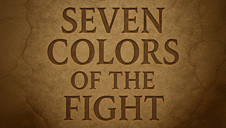 Seven Colors Of The Fight
